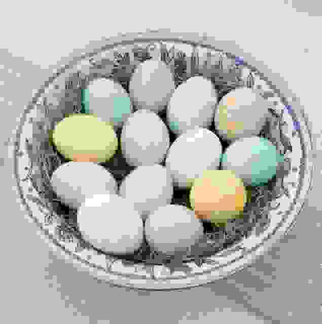 Lihavõttepühad - Leia Kõik Vajalikud Tooted Pühade Nautimiseks Koos ...