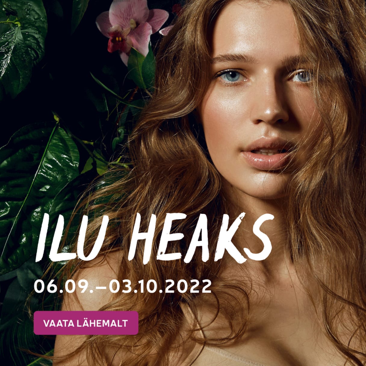 Rimi e-pood | Telli kaup koju või tule järgi