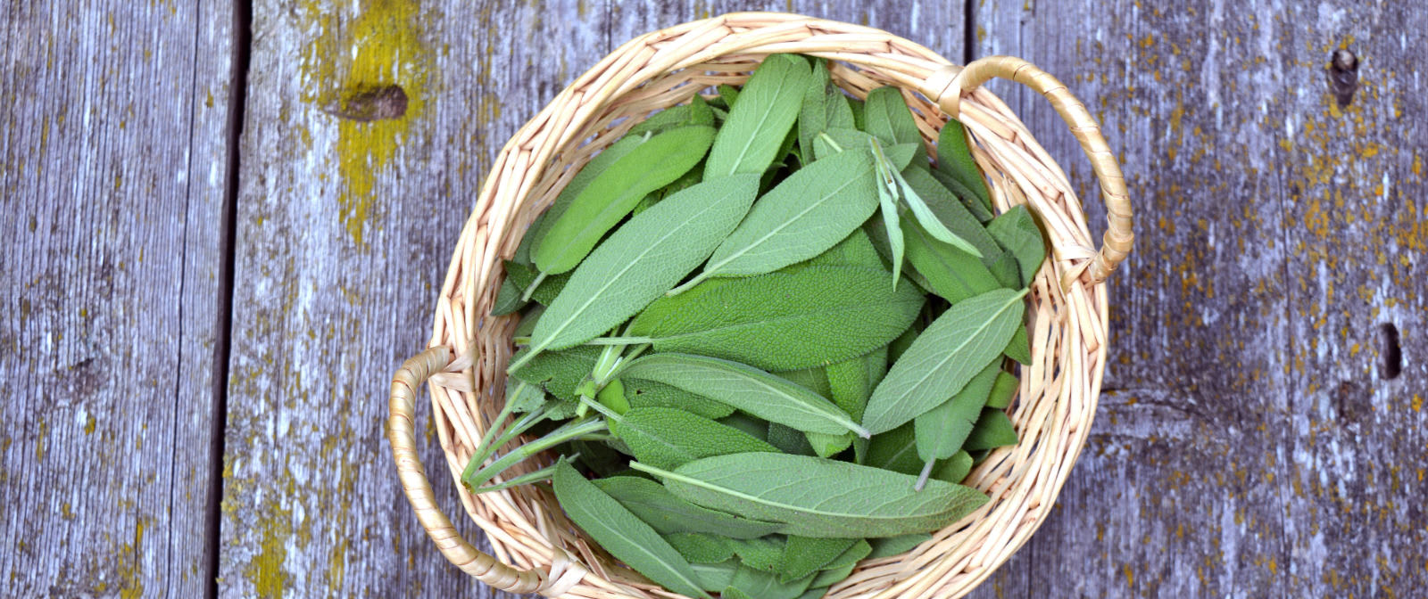 Rimi - Imeline taim salvei