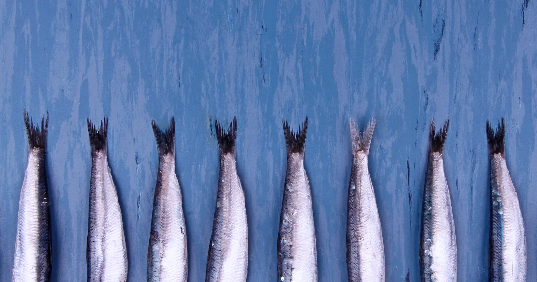 Rimi - Kaks aastat kestlikku kala Rimis: Kõige keskkonnasõbralikum on ...