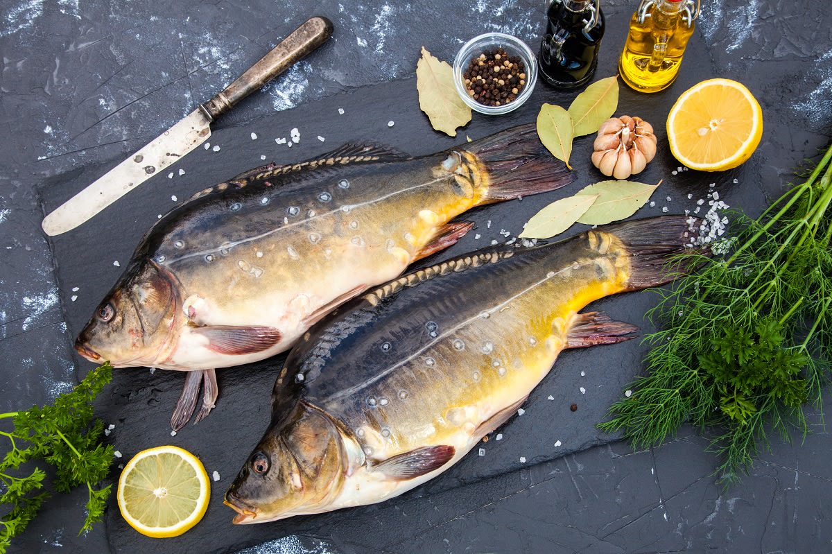 Rimi - Karpkala, kasvanduste lemmik